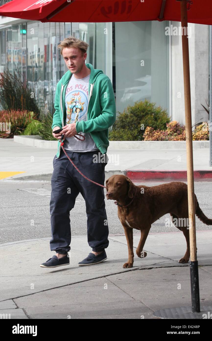 Harry Potter star Tom Felton out for breakfast with his dog in West ...
