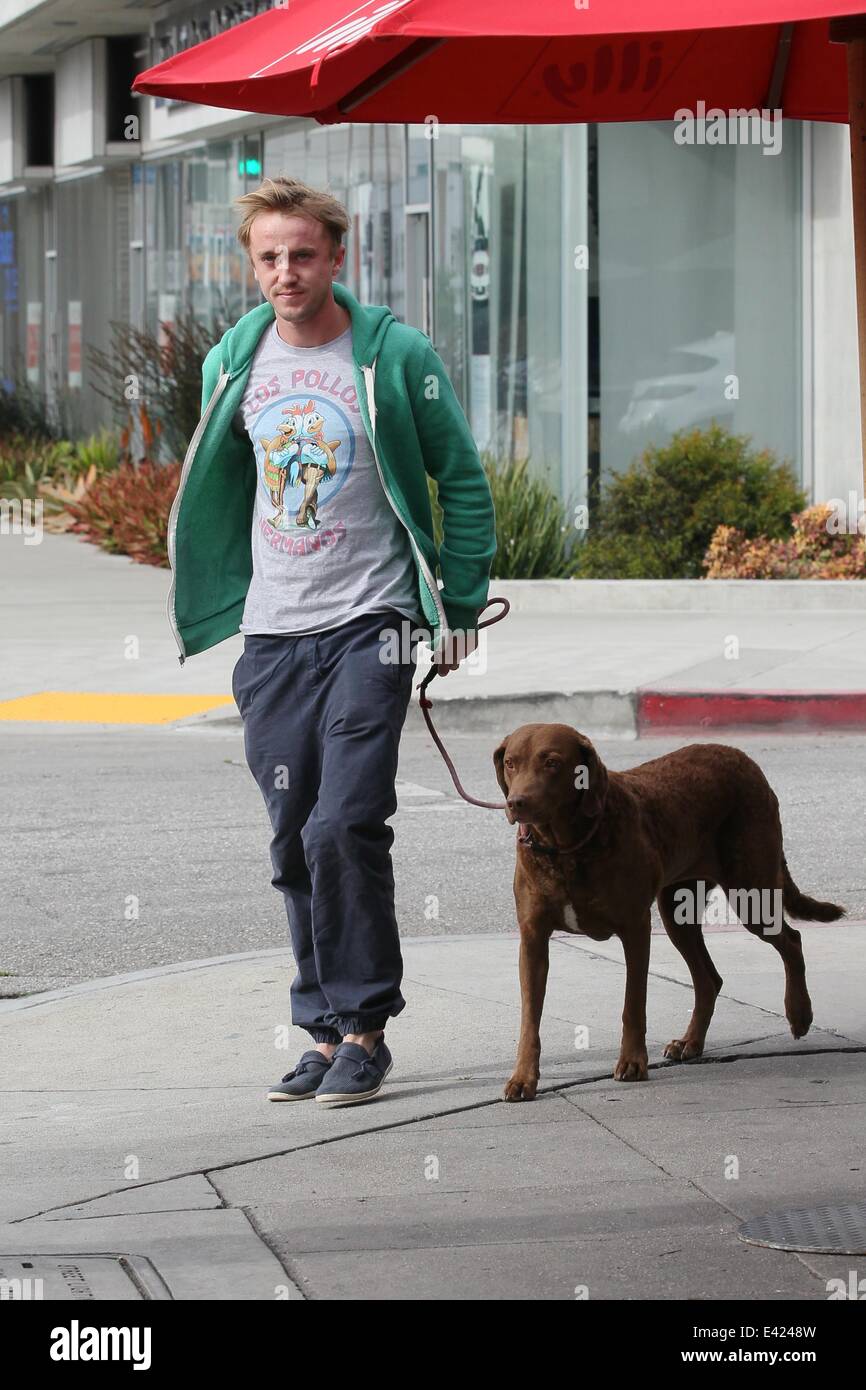 Harry Potter star Tom Felton out for breakfast with his dog in West ...