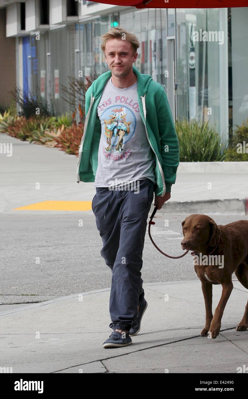 Harry Potter star Tom Felton out for breakfast with his dog in West ...