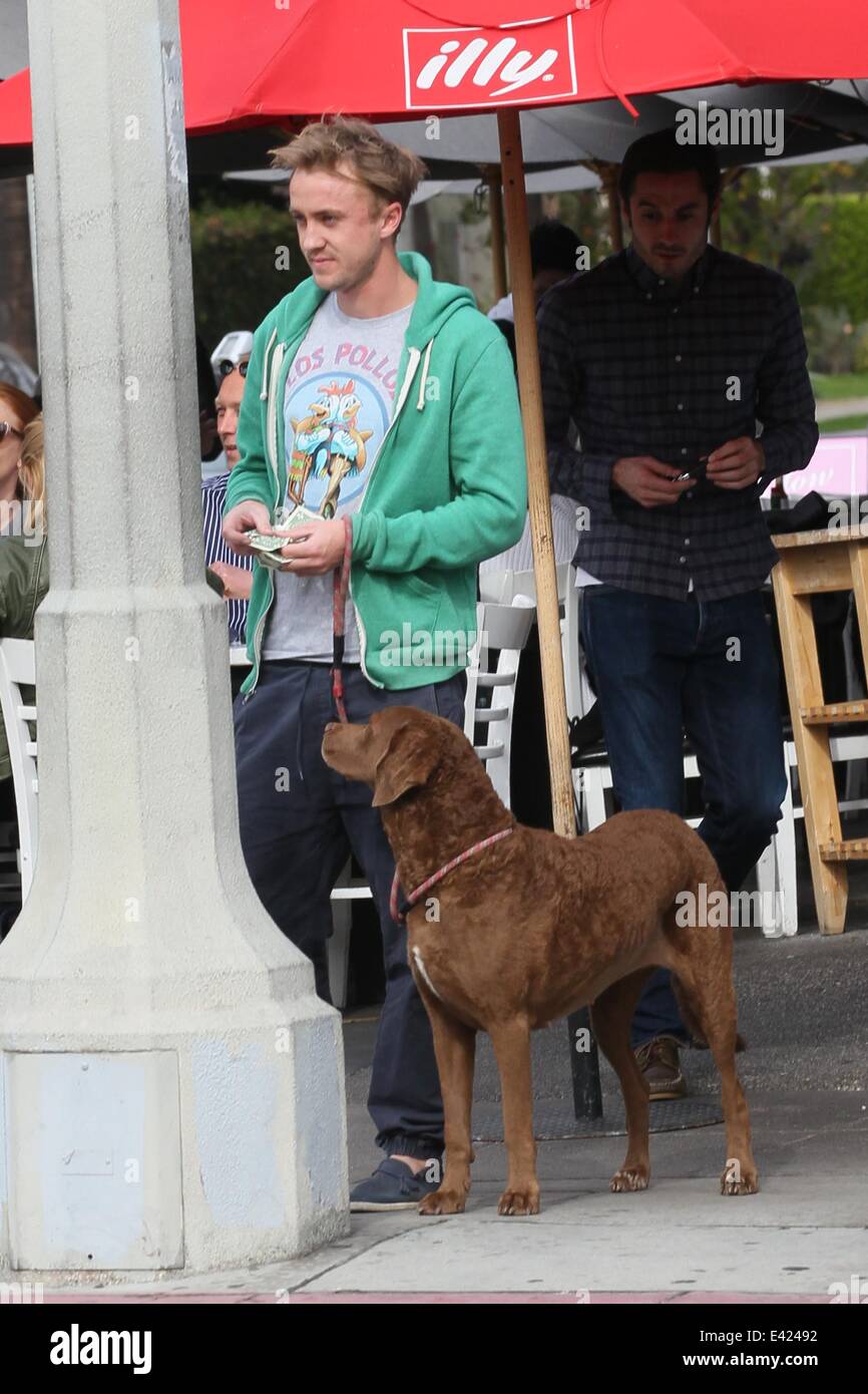 Harry Potter star Tom Felton out for breakfast with his dog in West ...