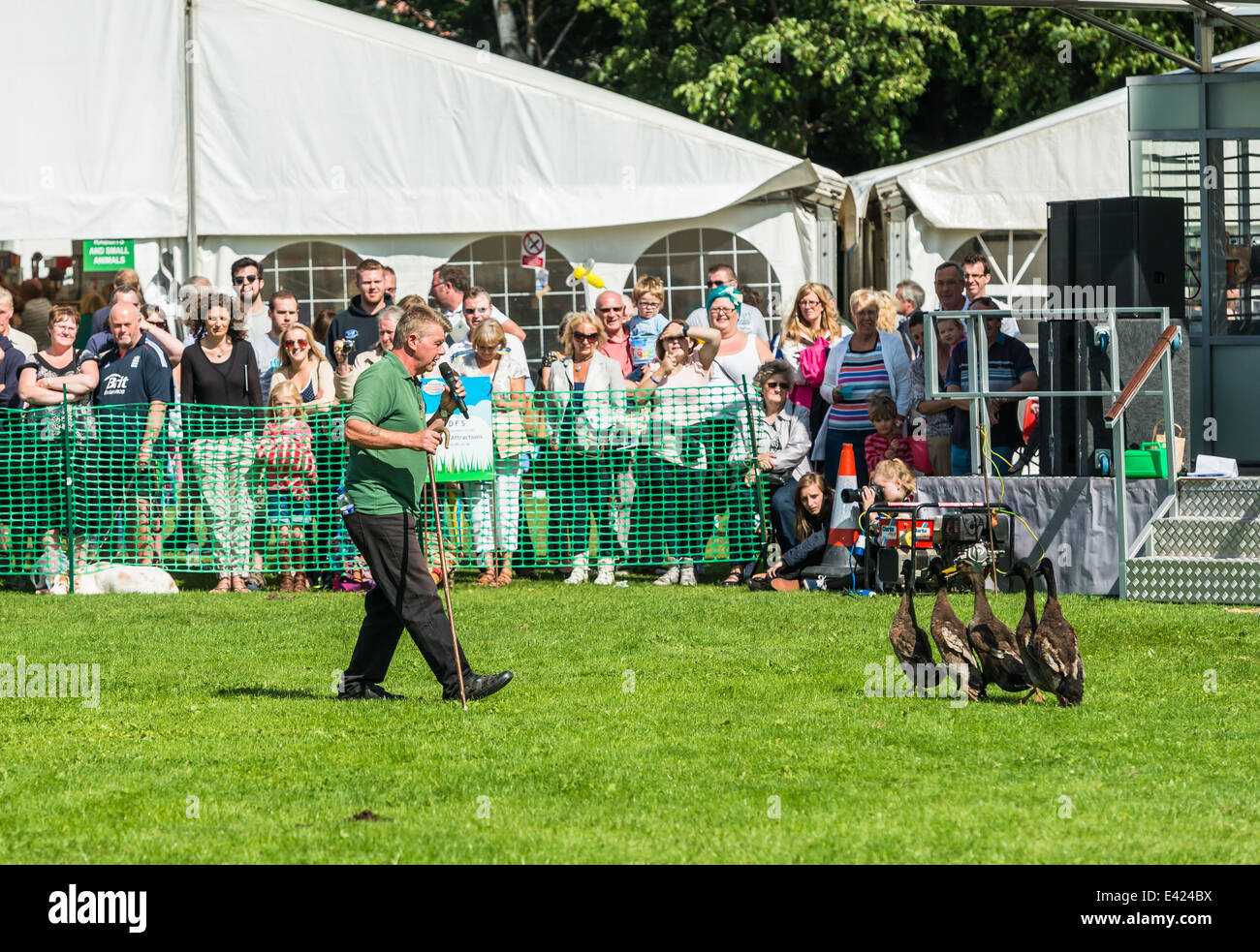 Trainer show display hi-res stock photography and images - Alamy