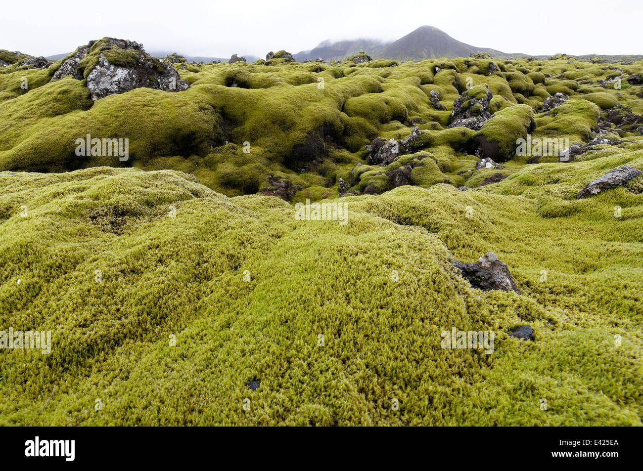 Volcanic field hi-res stock photography and images - Alamy