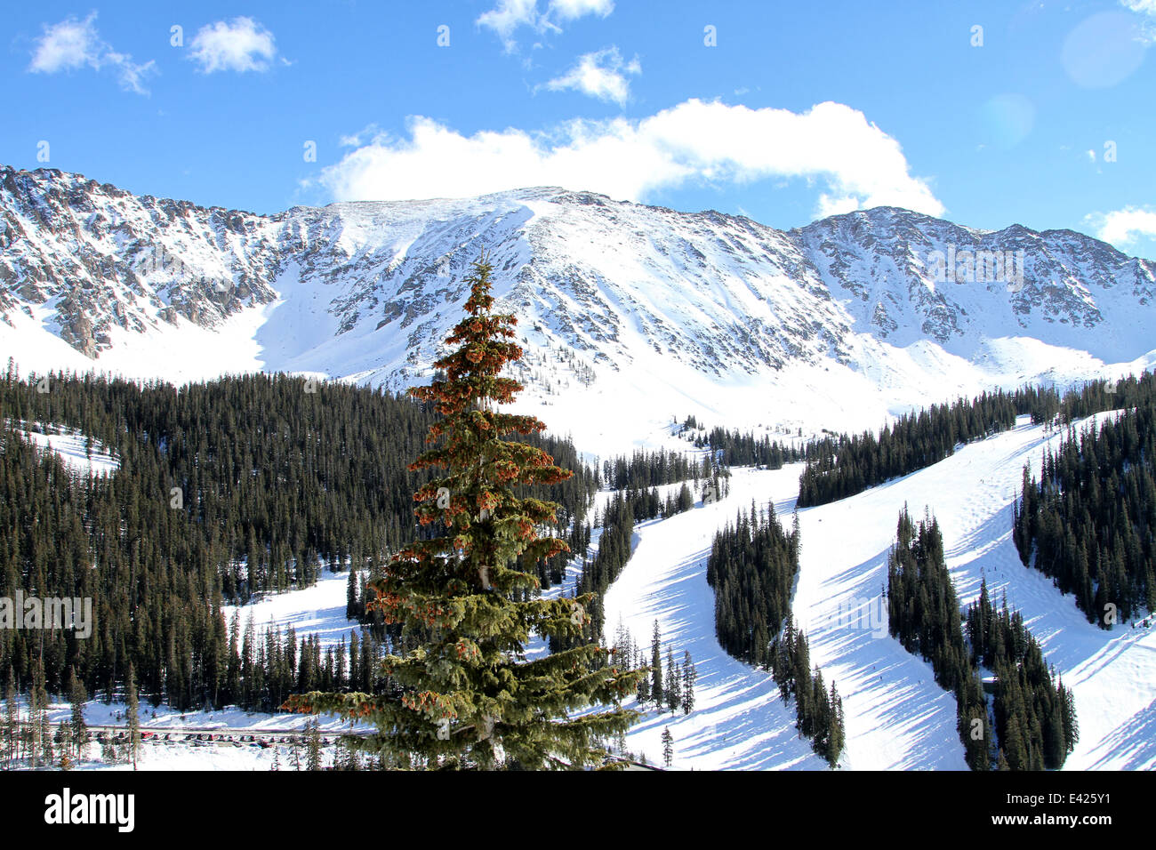 Colorado heart hi-res stock photography and images - Alamy
