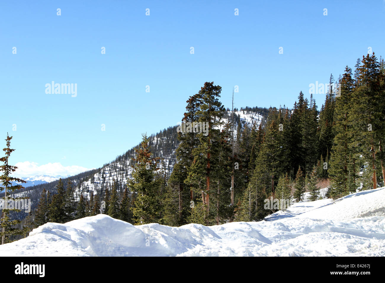 A view from the side of a Colorado country road Stock Photo - Alamy