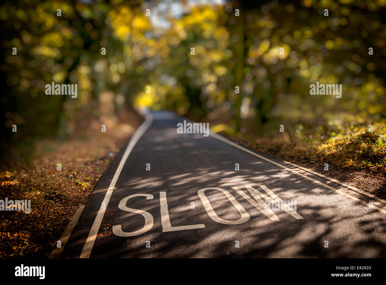 Slow Warning Sign Painted in the Road on a Country Lane Stock Photo - Alamy