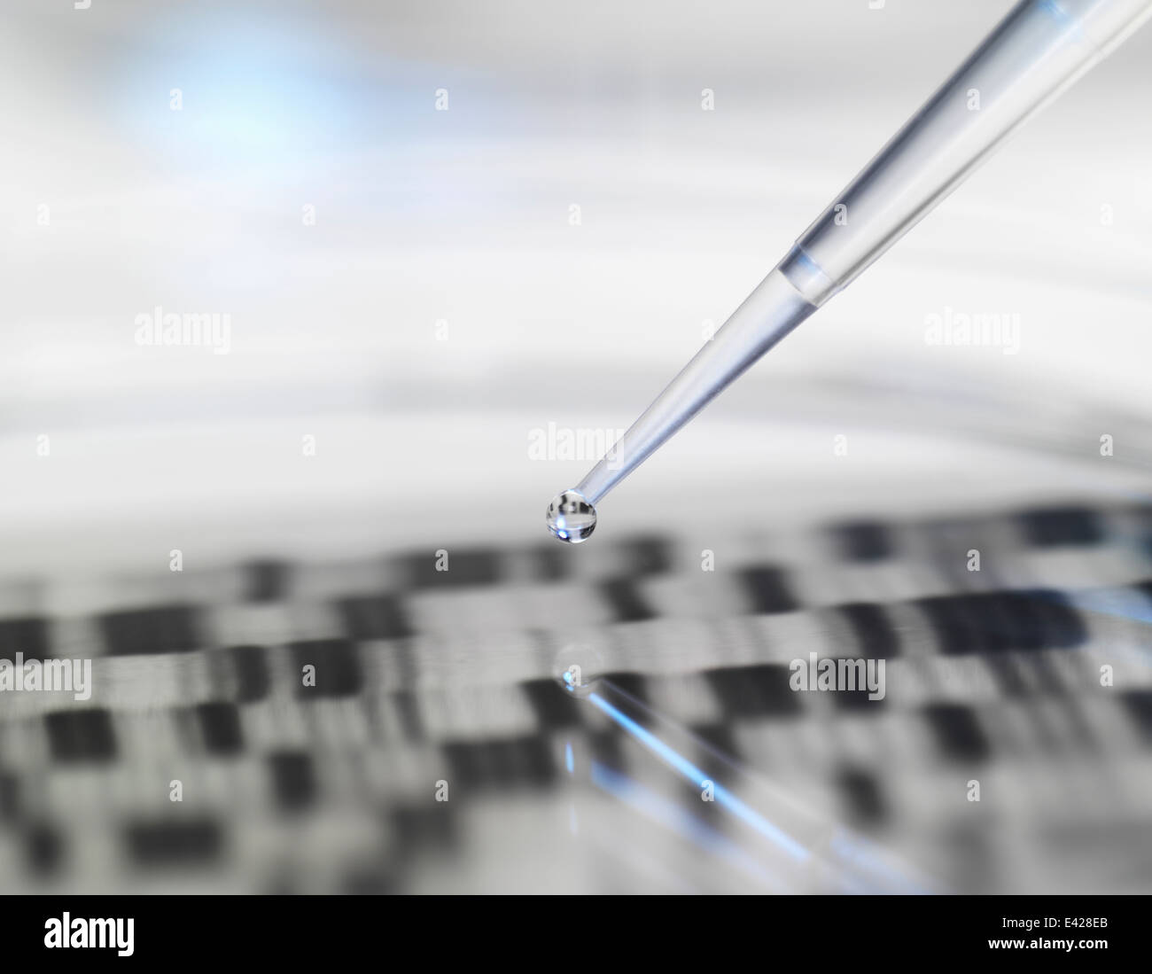 Petri dish and pipette hi-res stock photography and images - Alamy