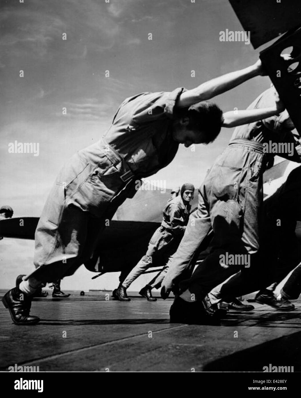 Image of an SBD Dauntless dive bomber, showcasing its role in military ...