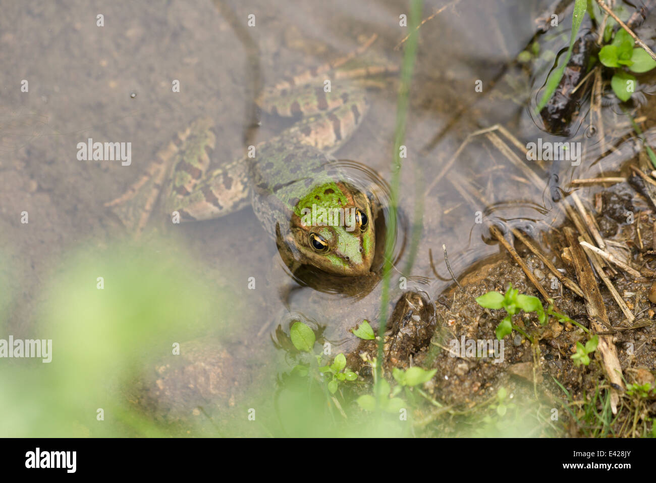 View fro top hi-res stock photography and images - Alamy