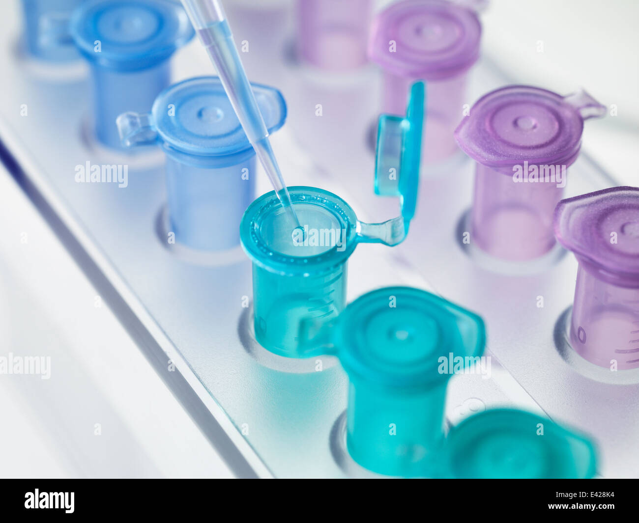 Pipette dropping a solution into a vial, used for storing liquid during ...