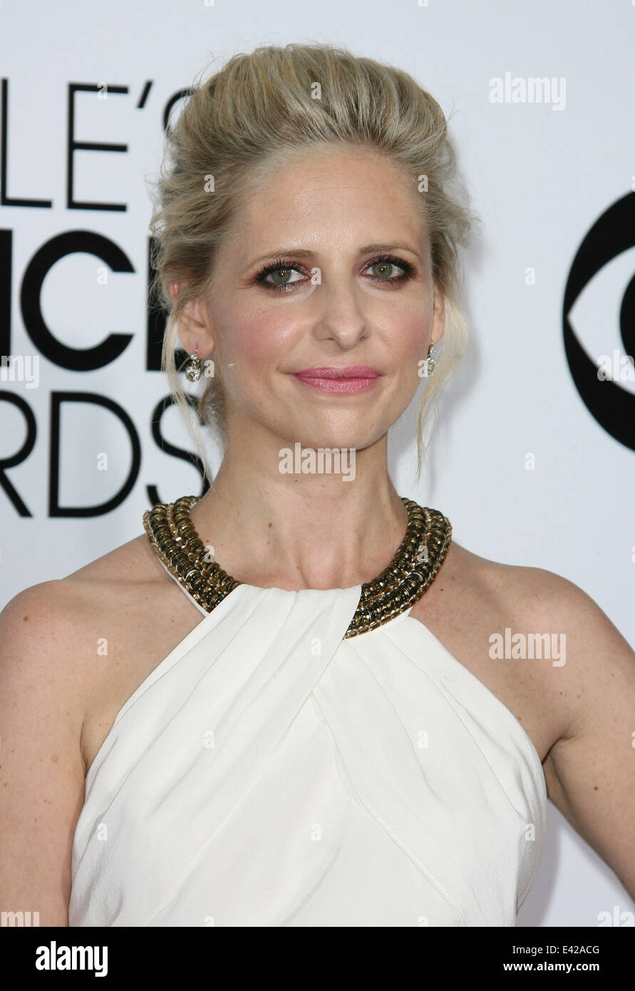 Peoples Choice Awards 2014 Arrivals held at Nokia Theatre L.A. Live ...