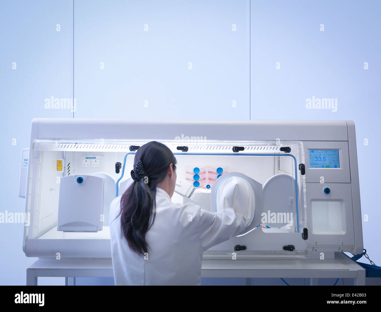 Human cell anatomy hi-res stock photography and images - Alamy