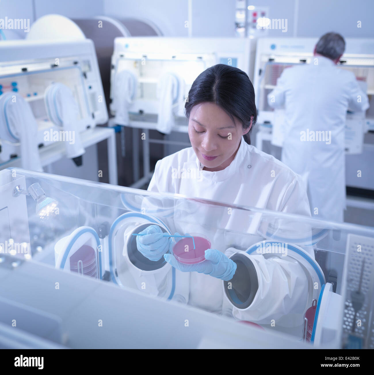 Bacterial Anatomy High Resolution Stock Photography and Images - Alamy