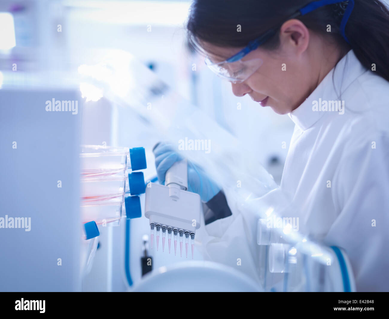 Human cell anatomy hi-res stock photography and images - Alamy