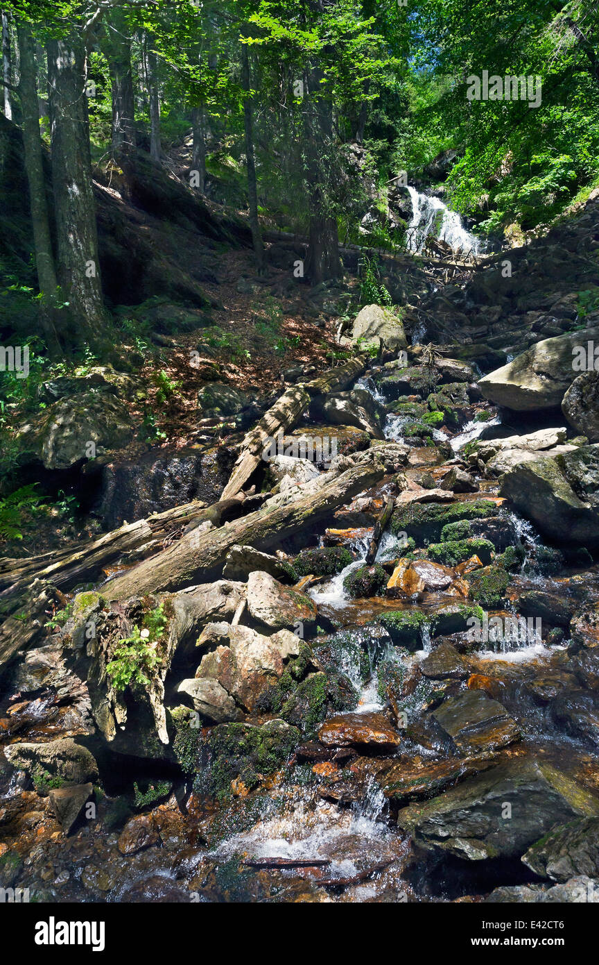 Germany, Bayerischer Wald NP, waterfall in the Bavarian forest Stock ...