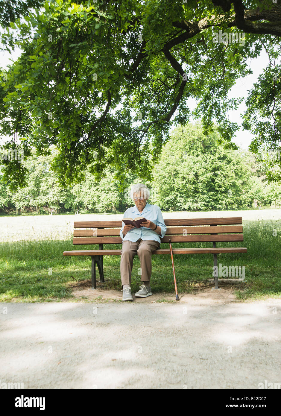 Lifestyle older person reading hi-res stock photography and images - Alamy