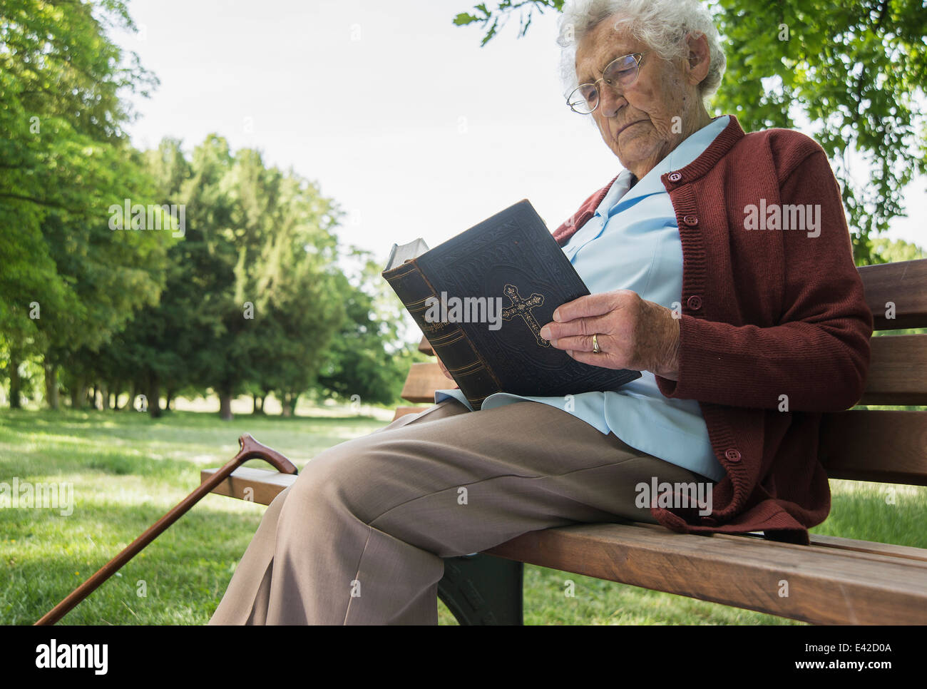Tolle Sitting On Bench