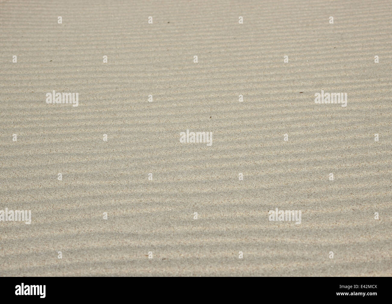Isolated horizontal sand wave texture at beach Stock Photo - Alamy
