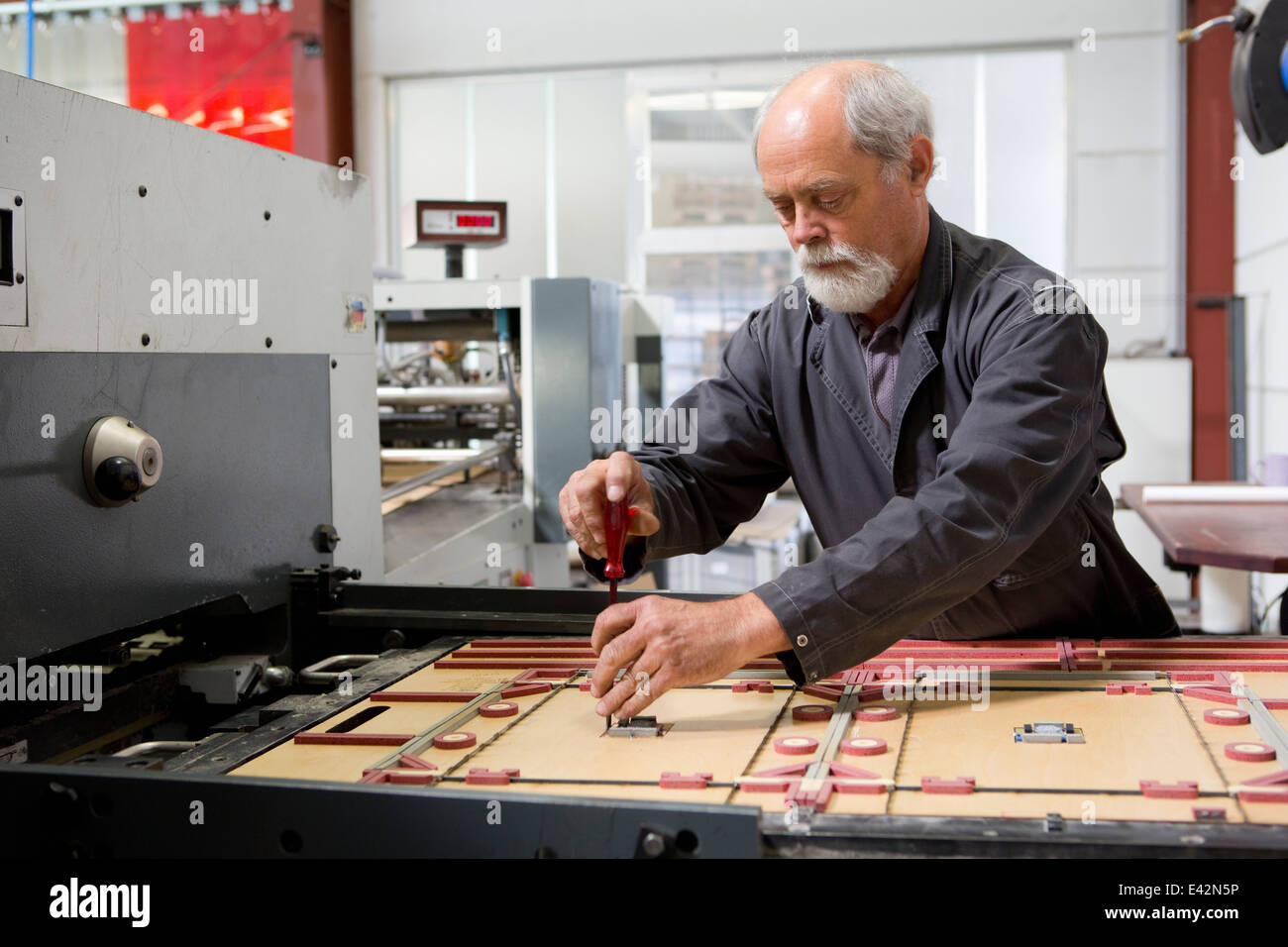 Cardboard manufacturing factory hi-res stock photography and images - Alamy