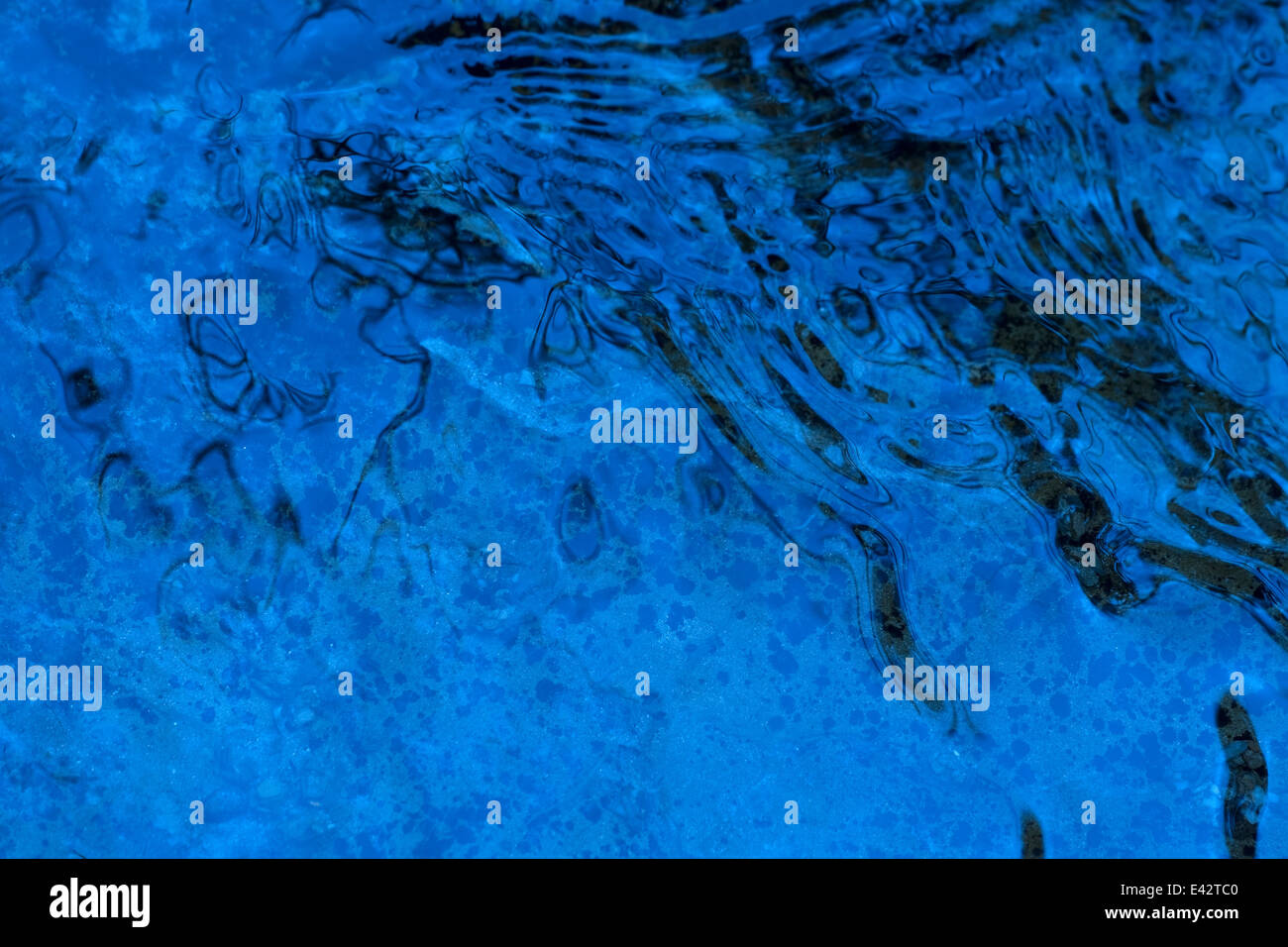 blue brook nature area in the Eifel, Germany Stock Photo - Alamy