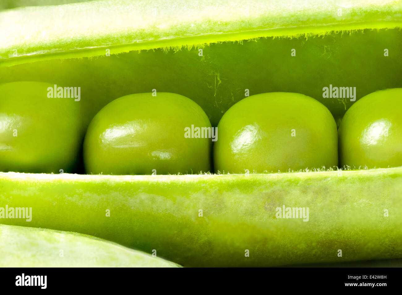 Open pea pod plant hi-res stock photography and images - Alamy