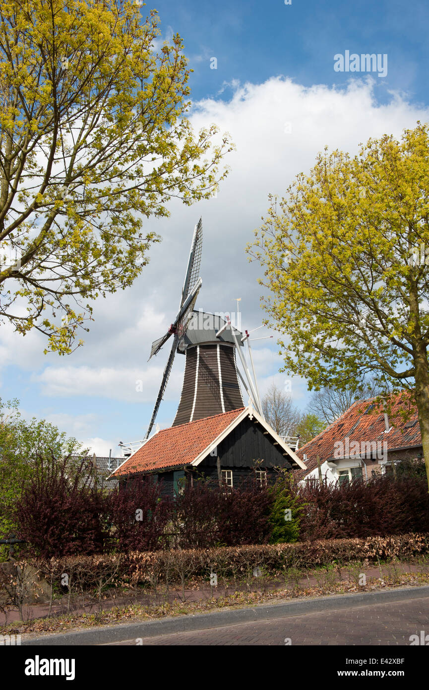 Traditional Dutch wooden windmill in a local farm Stock Photo - Alamy