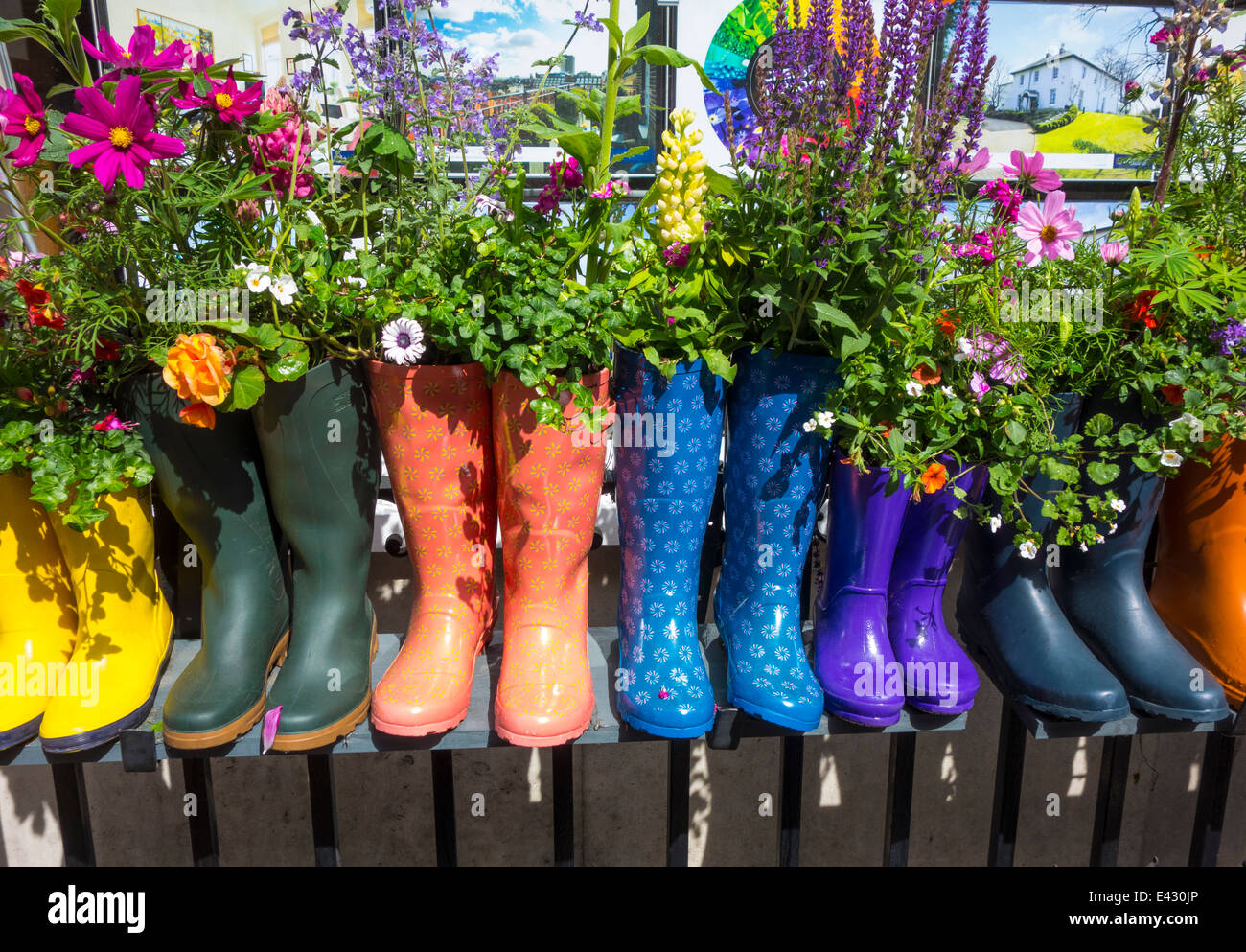 Wellie boots hi-res stock photography and images - Alamy
