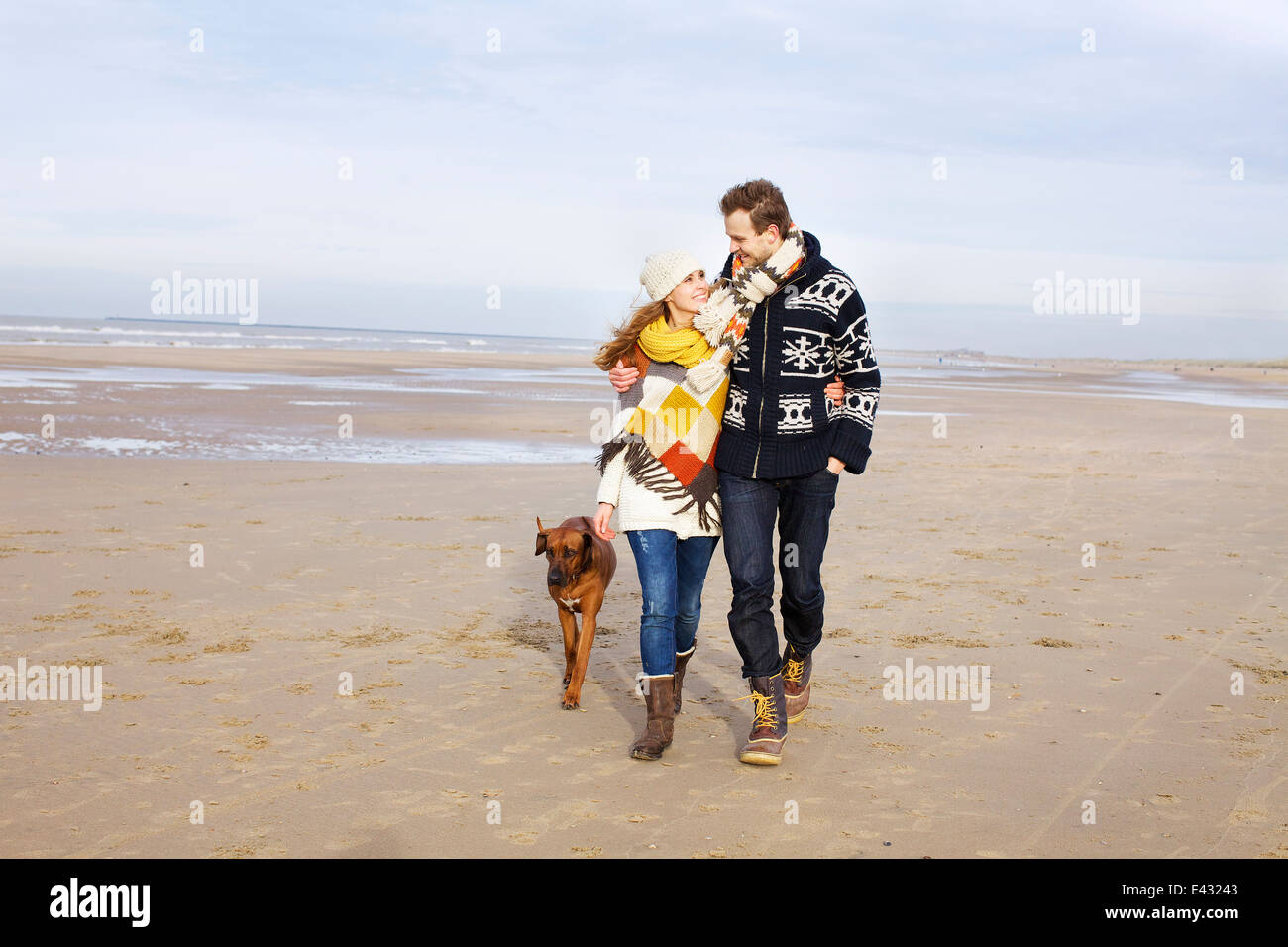 Mid adult couple and dog strolling on beach, Bloemendaal aan Zee ...