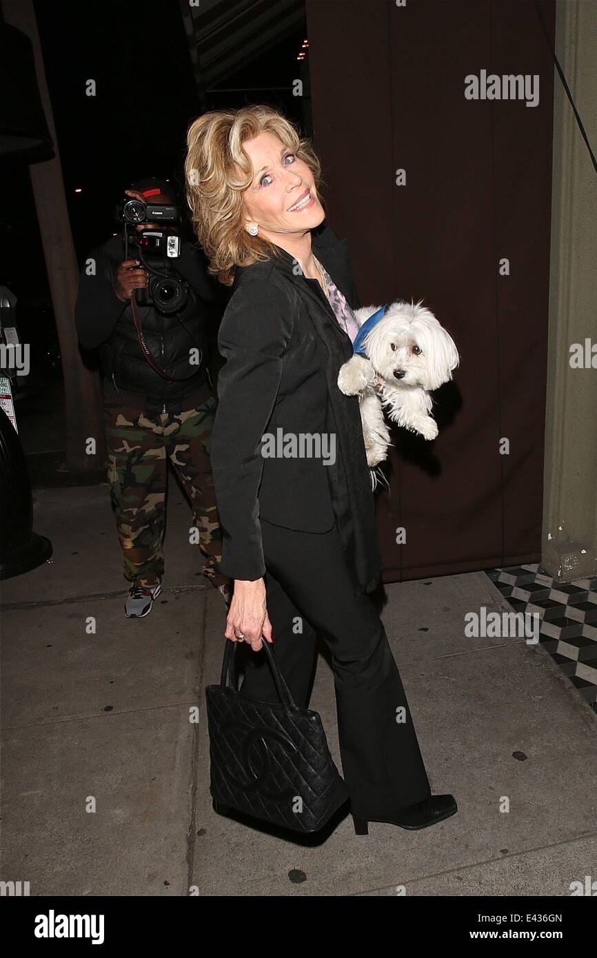 Jane Fonda and her Coton de Tulear dog outside Craig's Featuring: Jane ...