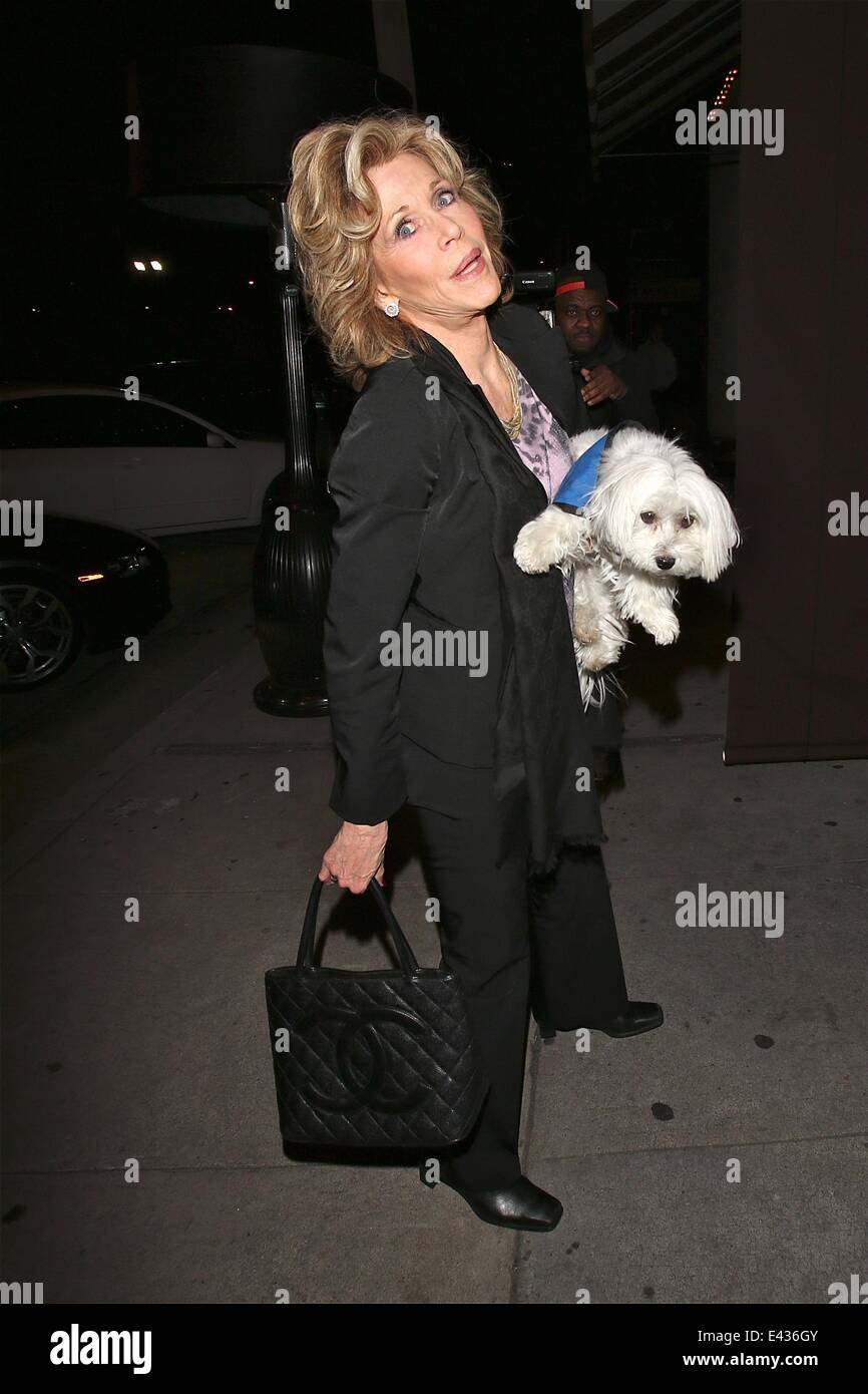 Jane Fonda and her Coton de Tulear dog outside Craig's Featuring: Jane ...