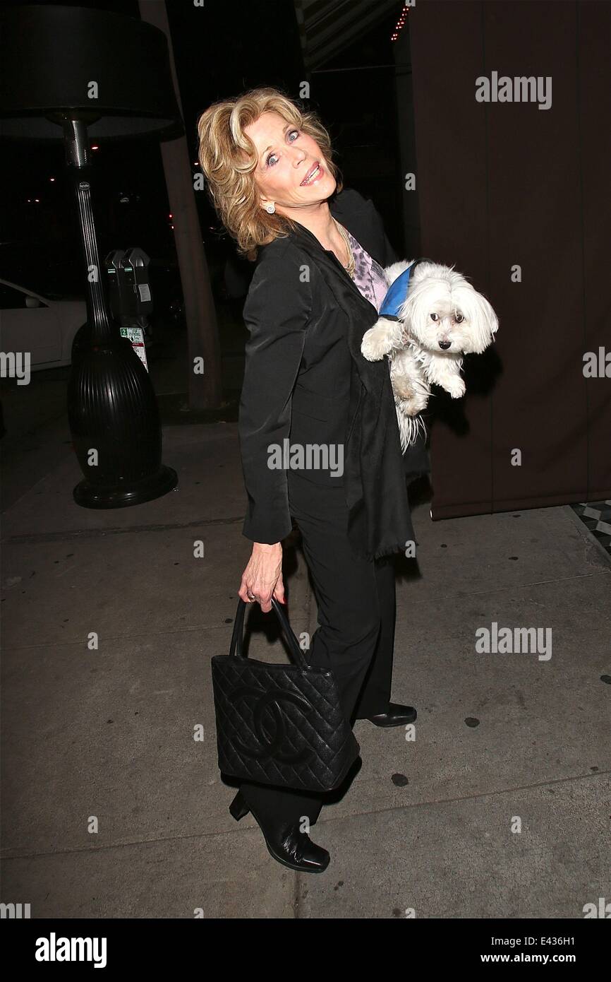 Jane Fonda and her Coton de Tulear dog outside Craig's Featuring: Jane ...