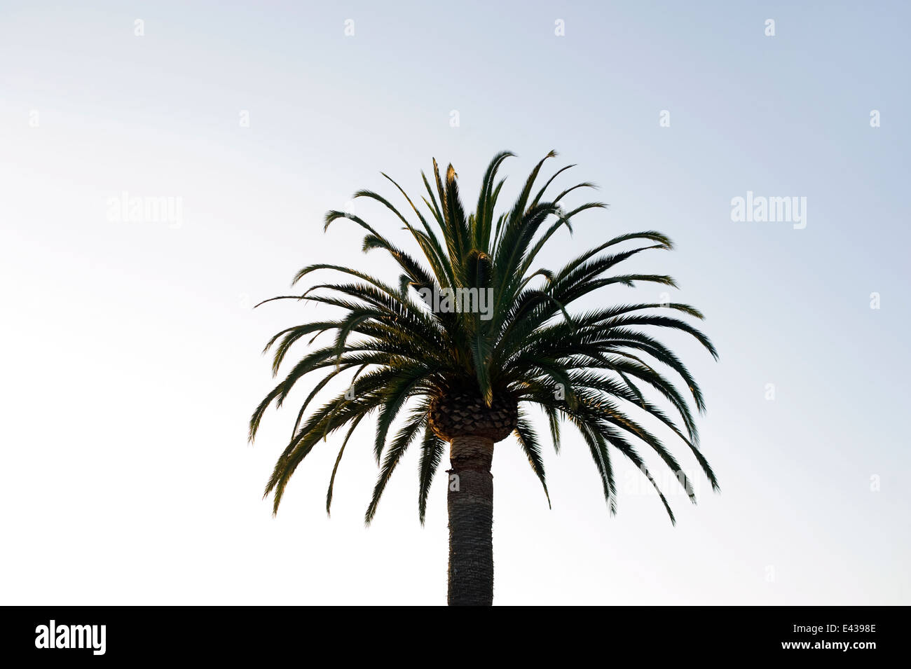 Natural form hi-res stock photography and images - Alamy