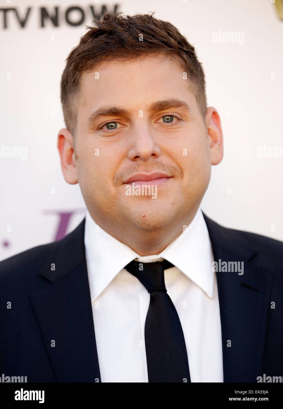 The 19th Annual Critics' Choice Awards at The Barker Hangar - Arrivals ...
