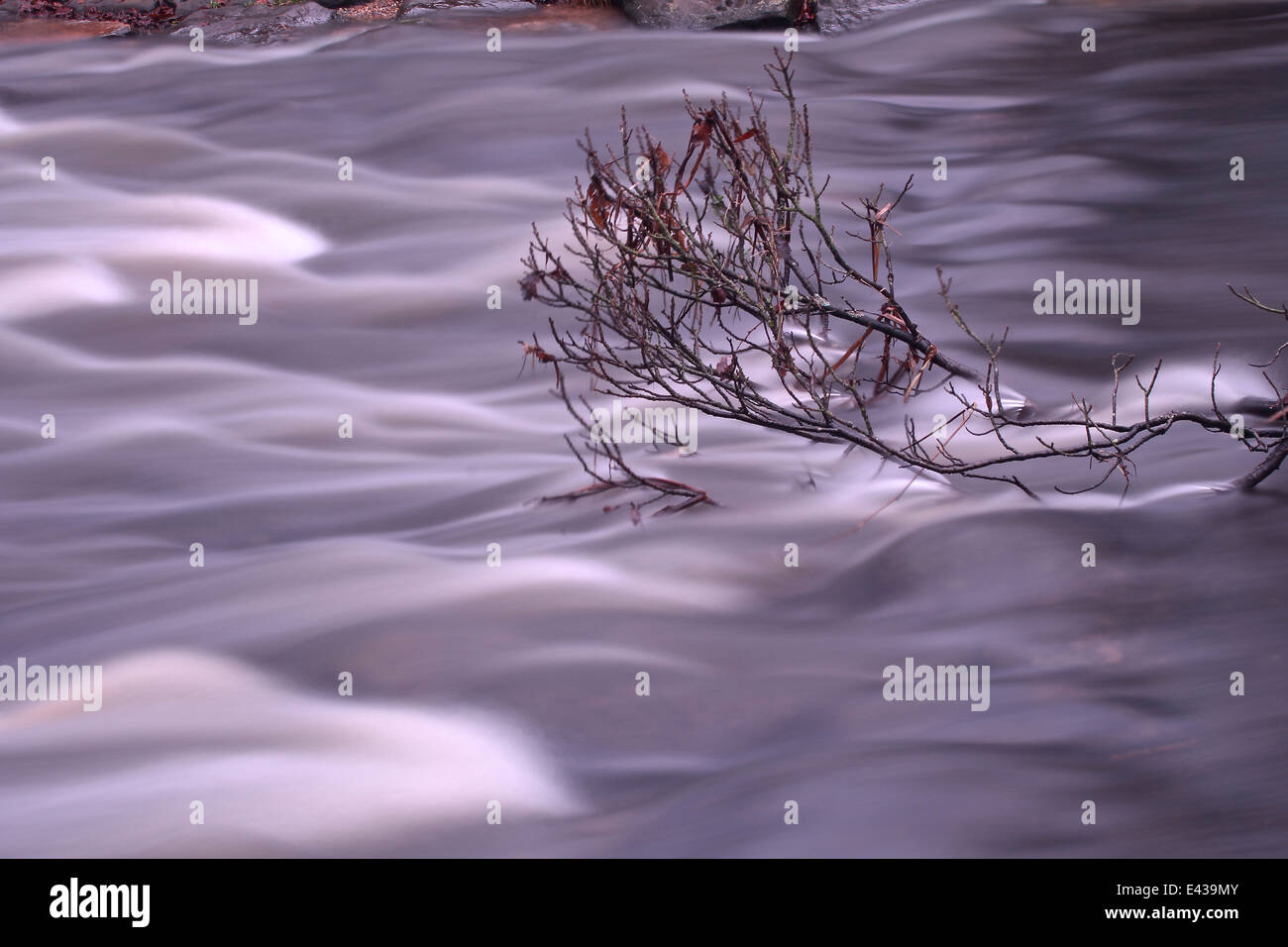 River branch hi-res stock photography and images - Alamy