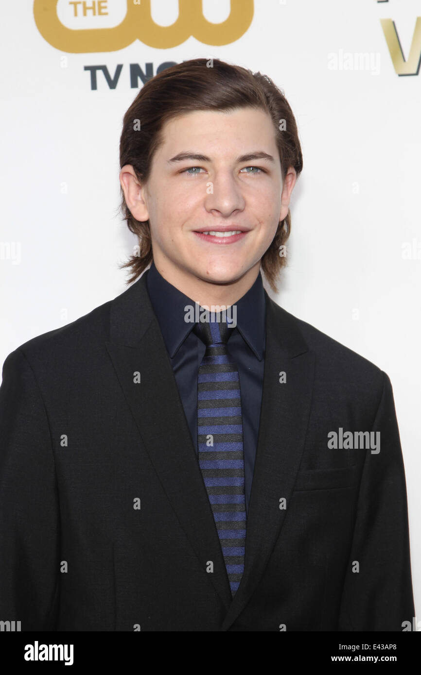 The 19th Annual Critics' Choice Awards at The Barker Hangar Featuring ...