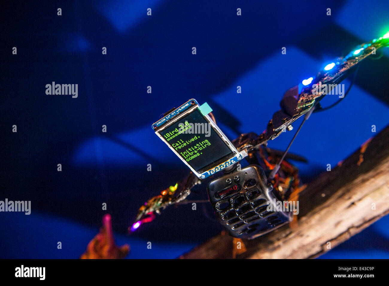 Images from digital revolution immersive exhibition of art hi-res stock ...