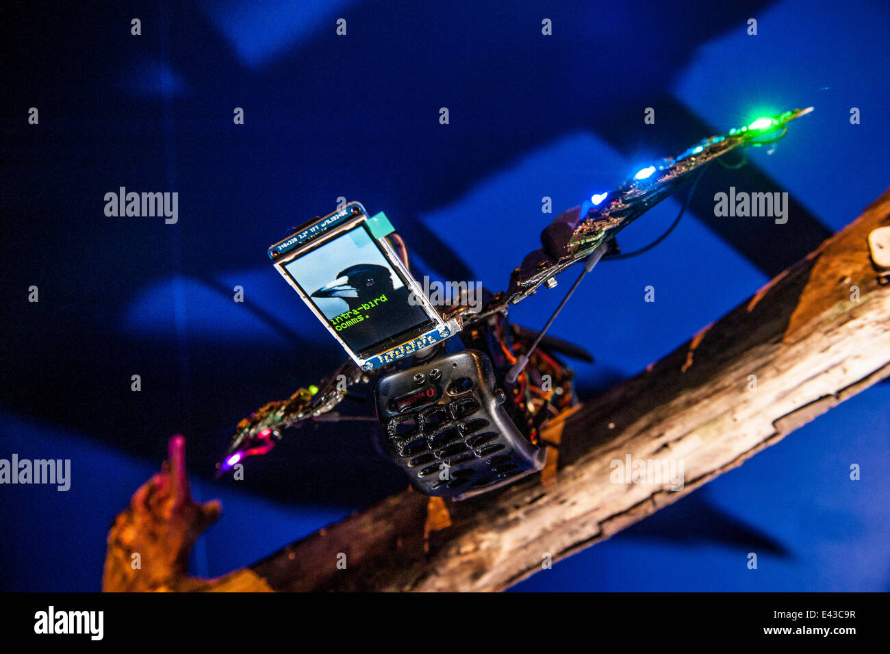 Images from digital revolution immersive exhibition of art hi-res stock ...