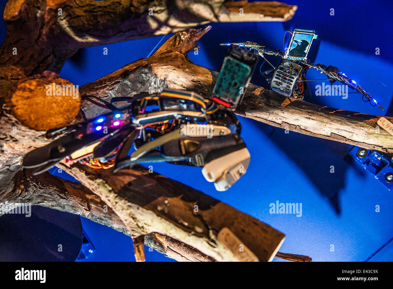 Images from digital revolution immersive exhibition of art hi-res stock ...