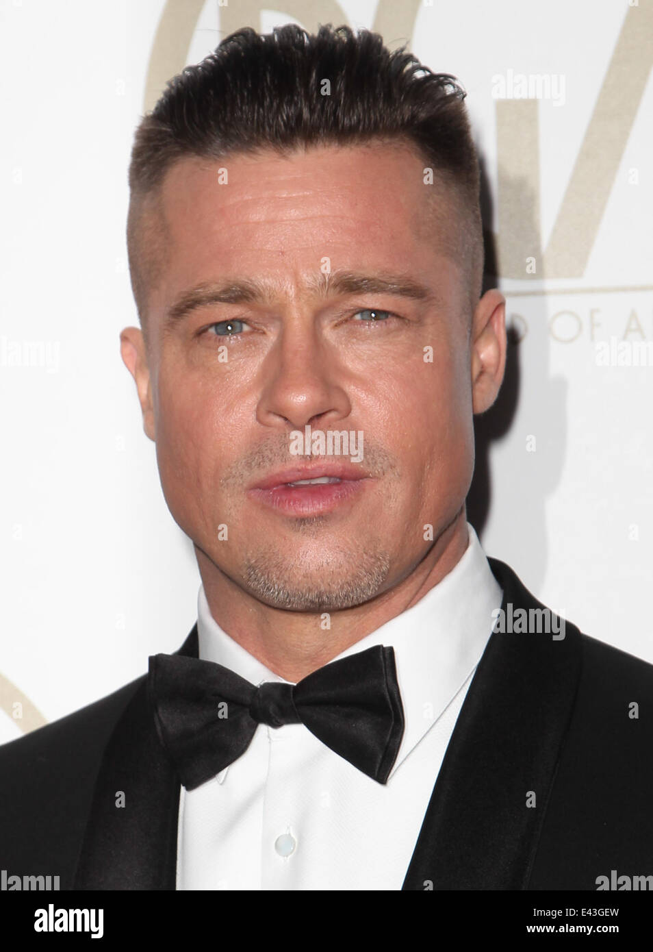 The 25th Annual Producer Guild of America Awards at The Beverly Hilton ...