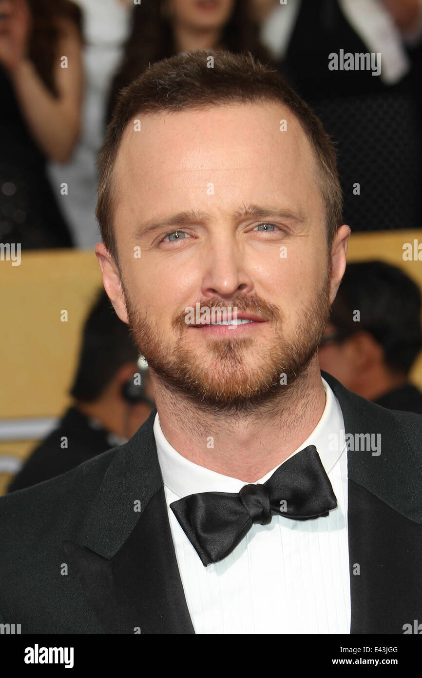 20th Annual Screen Actors Guild Awards at The Shrine - Arrivals ...