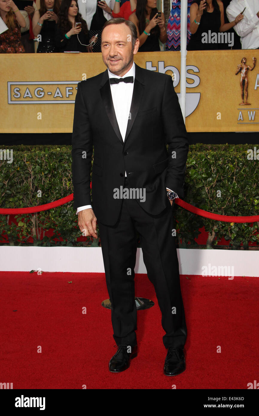 20th Annual Screen Actors Guild Awards at The Shrine - Arrivals ...