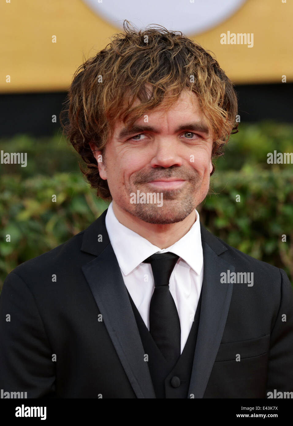 The 20th Annual Screen Actors Guild (SAG) Awards held at The Shrine ...