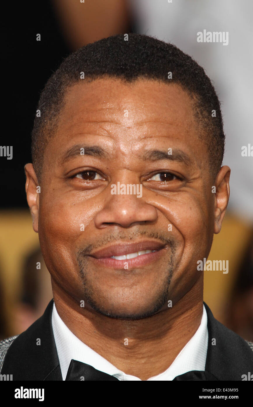 20th Annual Screen Actors Guild Awards at The Shrine - Arrivals ...