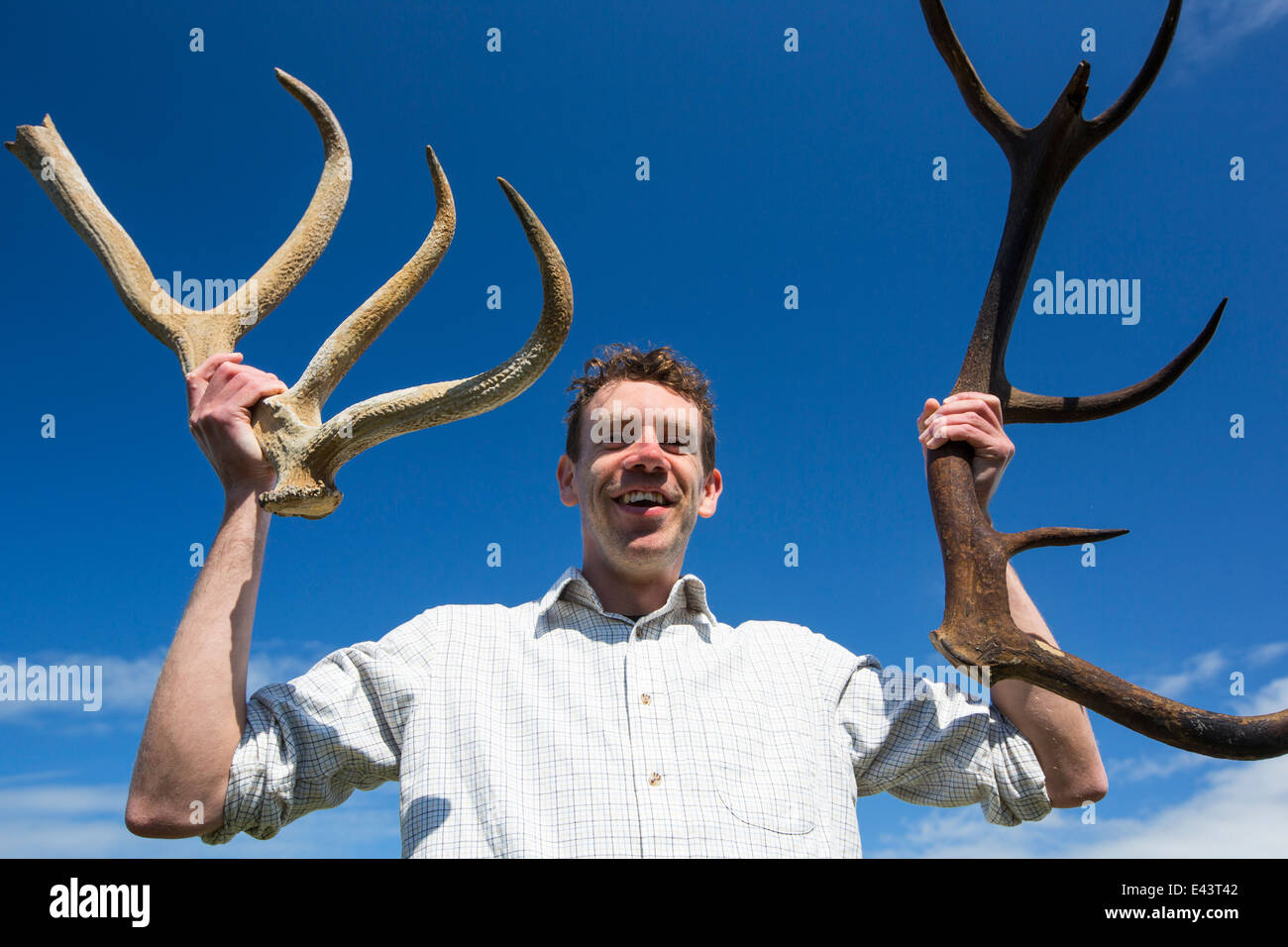Ancient antlers from long extinct deer revealed by coastal erosion on ...