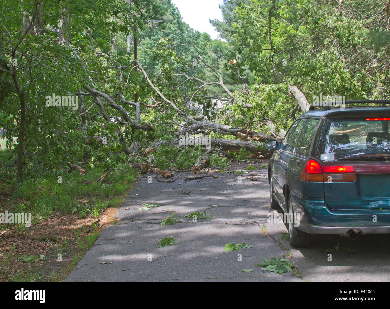 Debris further down hi-res stock photography and images - Alamy