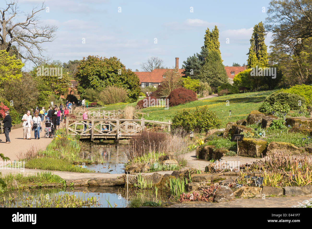 RHS gardens at Wisley, Surrey, UK, in springtime - rockery with pond ...
