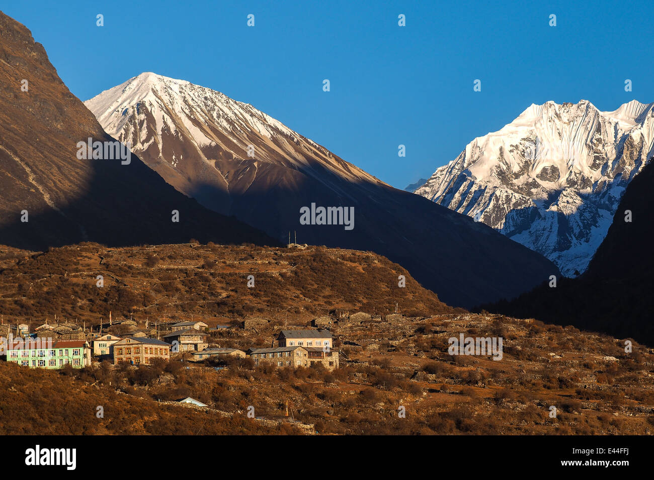 Tserko Ri (5,033m) Langtang National Park,Nepal Stock Photo - Alamy
