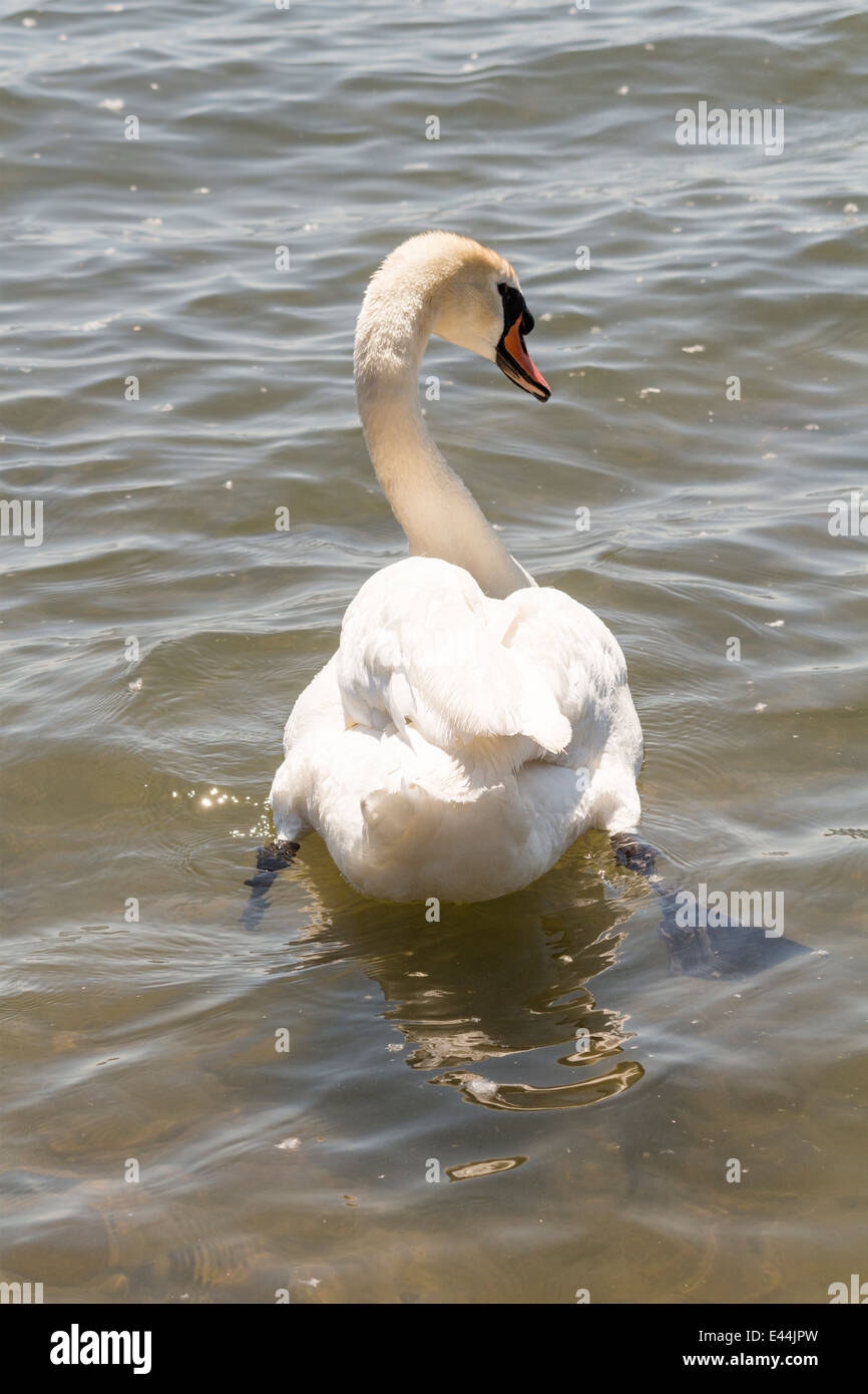 From camera hi-res stock photography and images - Alamy