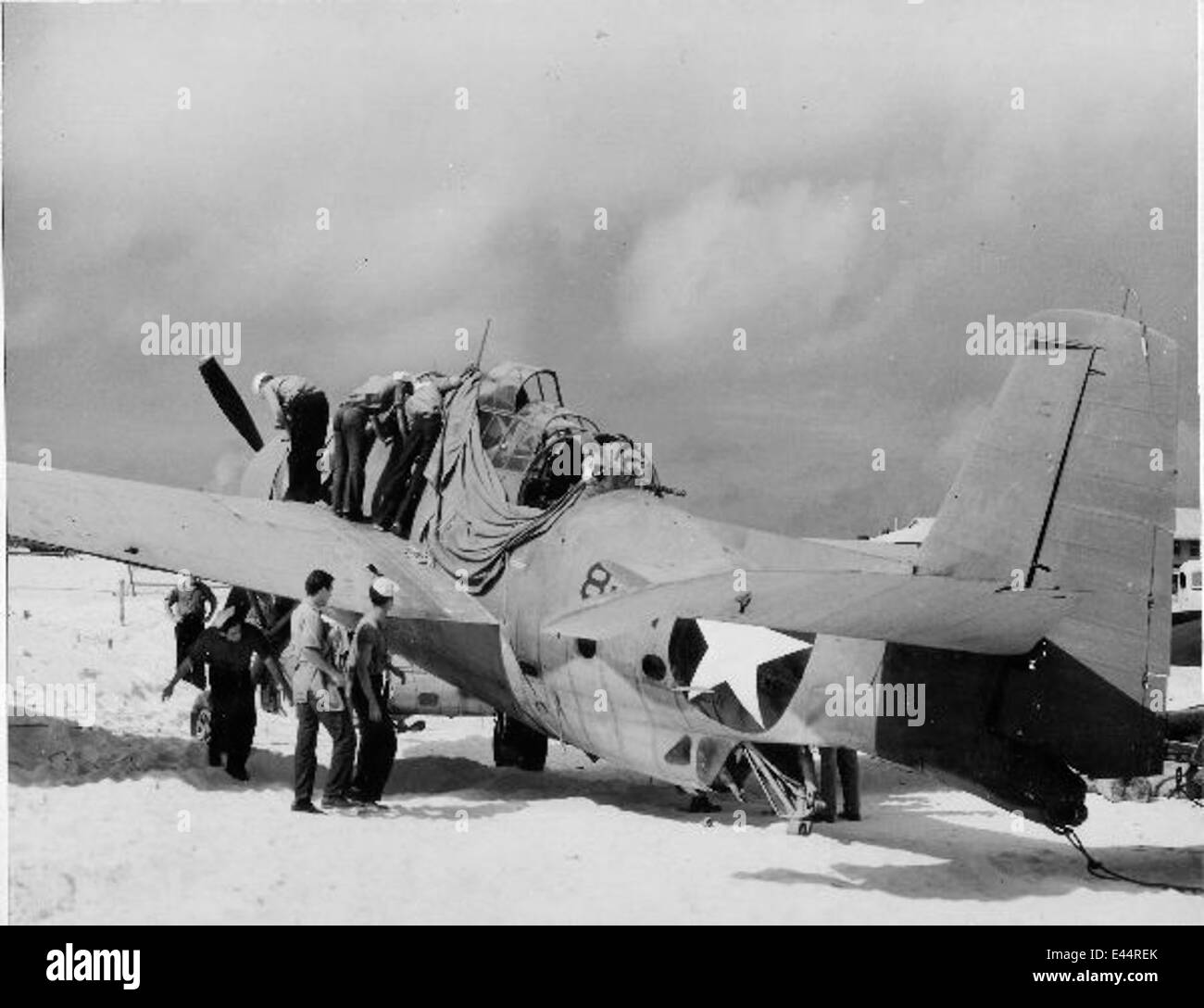 Ernest TBF VT8 Midway Stock Photo - Alamy
