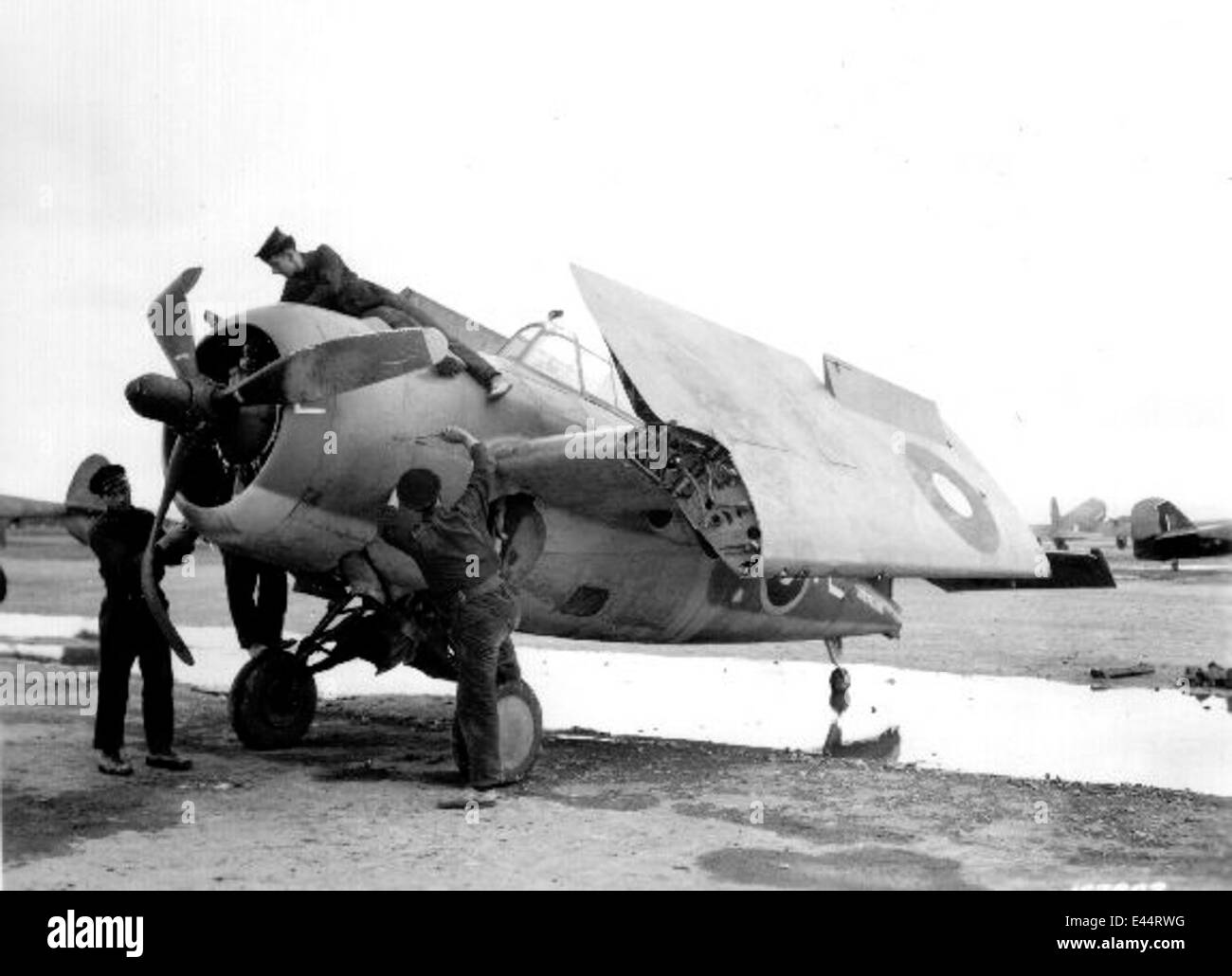 This image features the Grumman F4F Wildcat, a key naval fighter ...