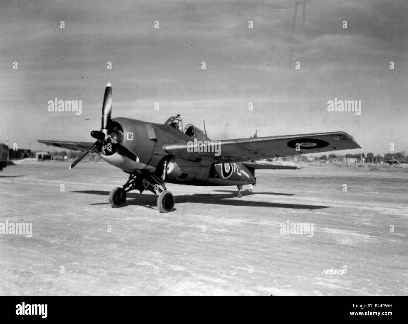 Martlet hi-res stock photography and images - Alamy